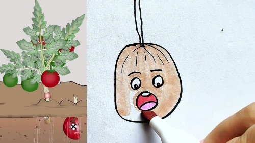 3263. 这是什么植物?创意简笔画,少儿创意美术