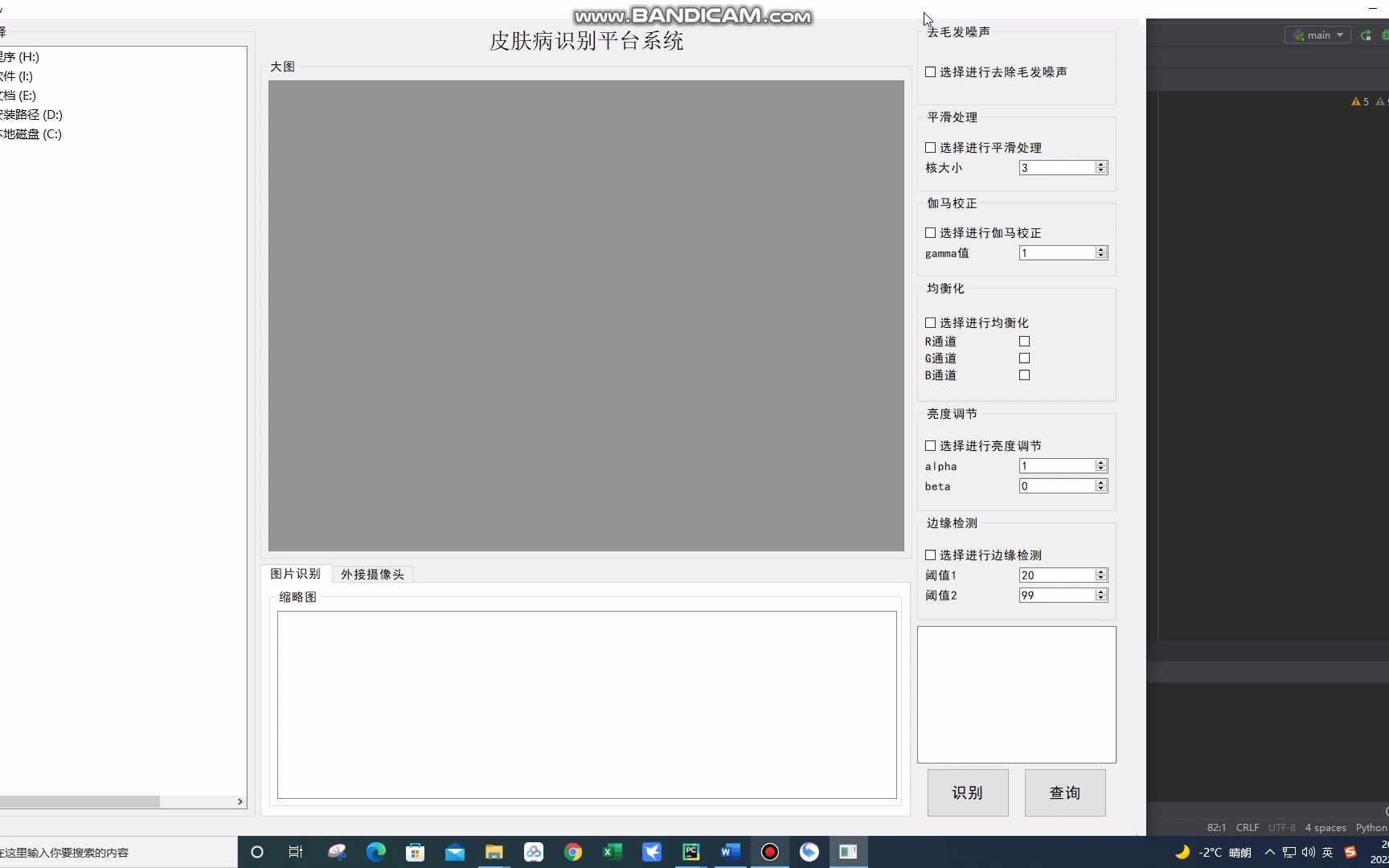 皮肤病识别与图像分析系统项目,使用PyQT5进行界面开发