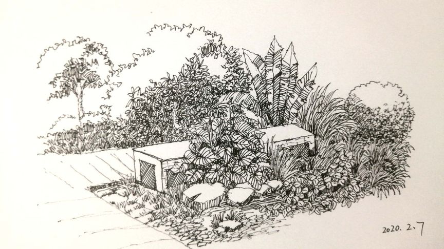 【钢笔画】教你如何快速表达,每日练一练,积累是关键!