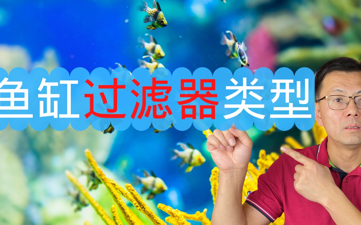 鱼缸过滤器都有哪些类型:悬挂式、海绵、内置式、桶式