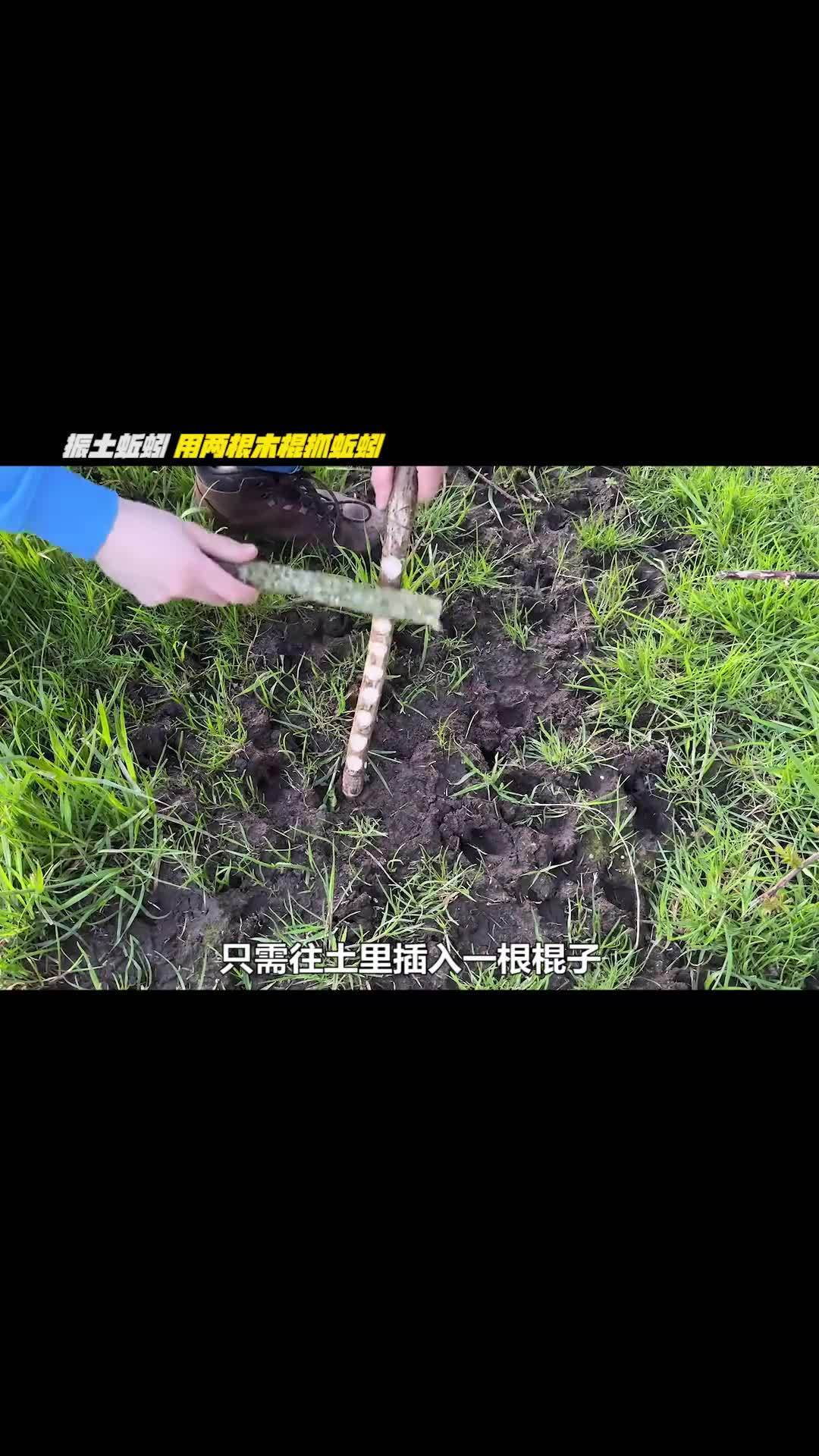 只需用两根棍子来回滚动