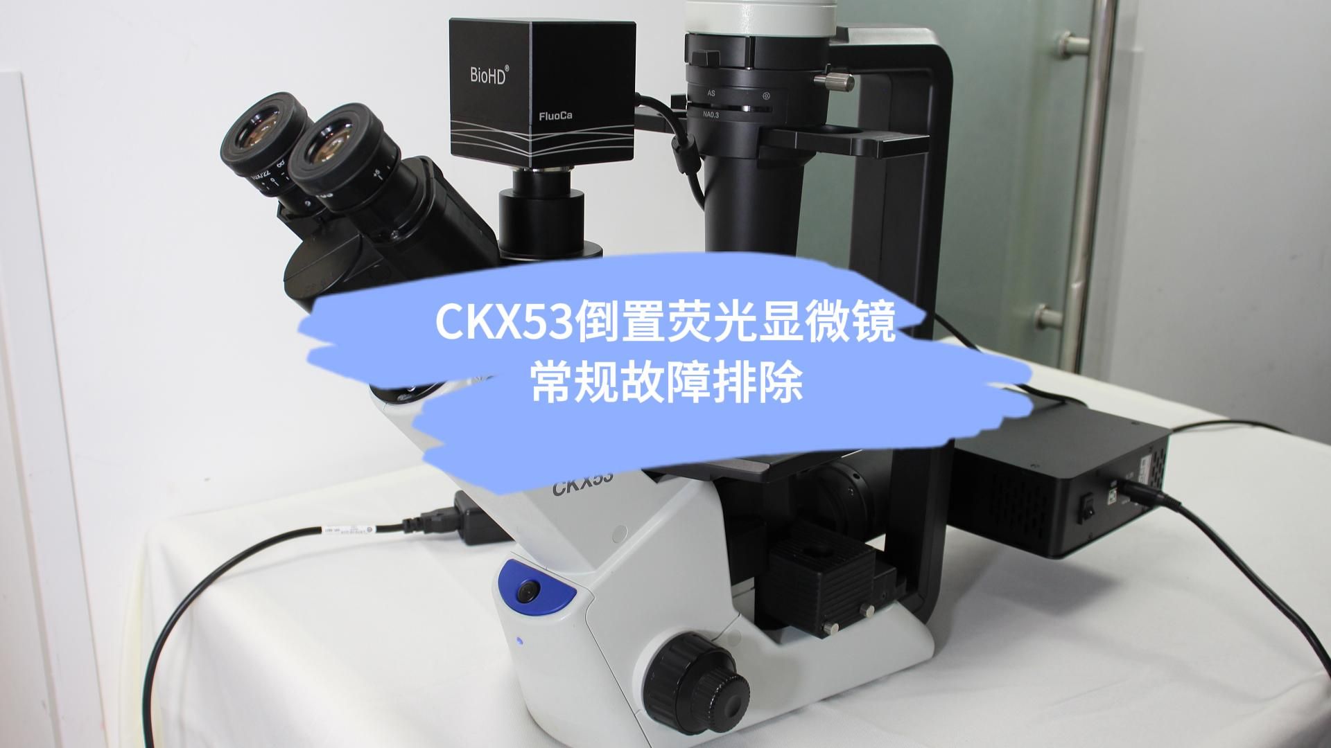 OLYMPUS CKX53显微镜常规故障排除