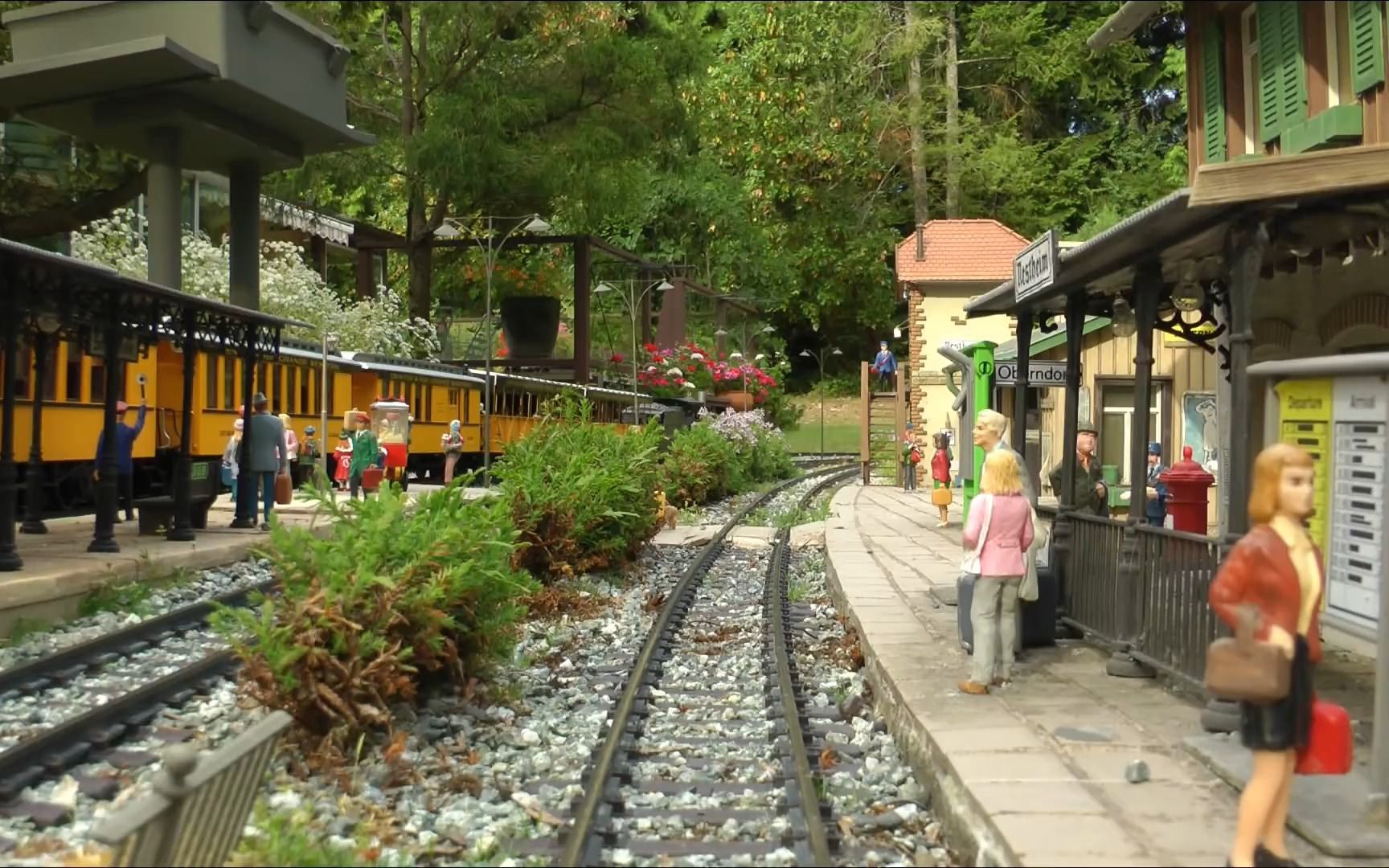 【模型轨道】建在花园中的火车模型行驶体验