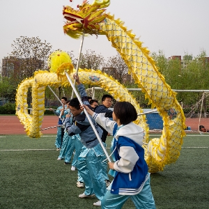 BIT龙狮少年 