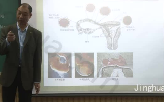10讲 【高一探索生物】高一生物必修一同步课