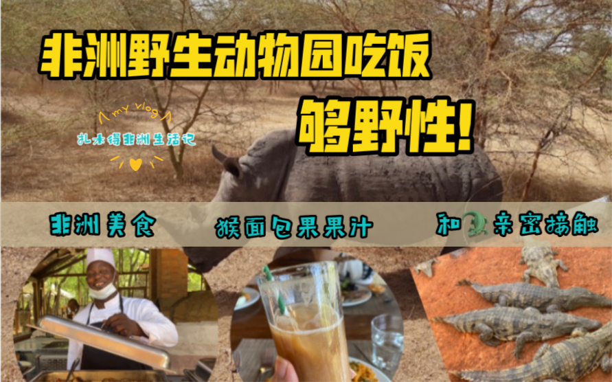 非洲野生动物园,和野生动物一起用餐“亲密接触”
