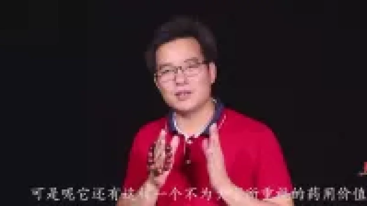 做为名贵木材的海南黄花梨到底有没有药用价值?