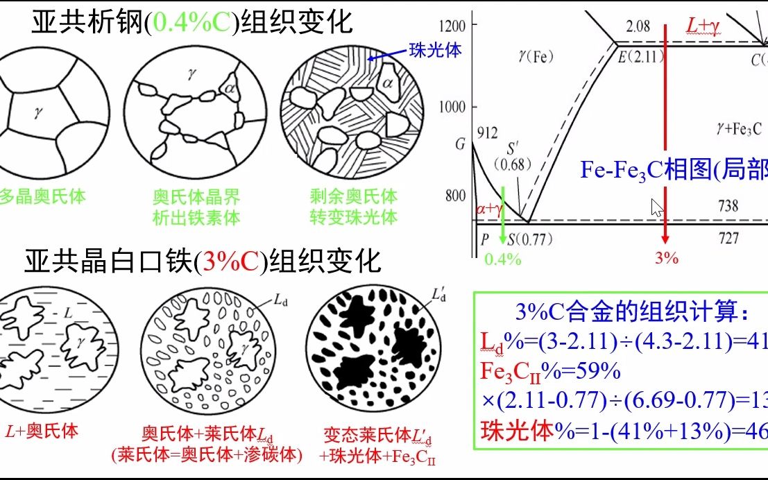 3.19-铁碳相图中两个合金的组织变化-《材料科学基础视频讲义》-吴锵