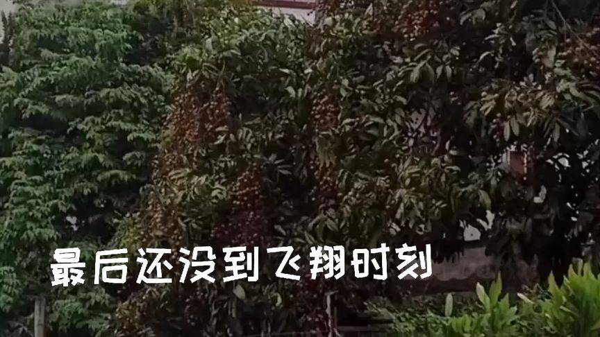 生命的开始,未来无限美好
