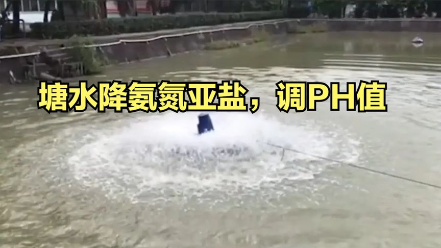 快速降解氨氮亚盐的办法,调理水PH值的方法,水产养殖技术分享