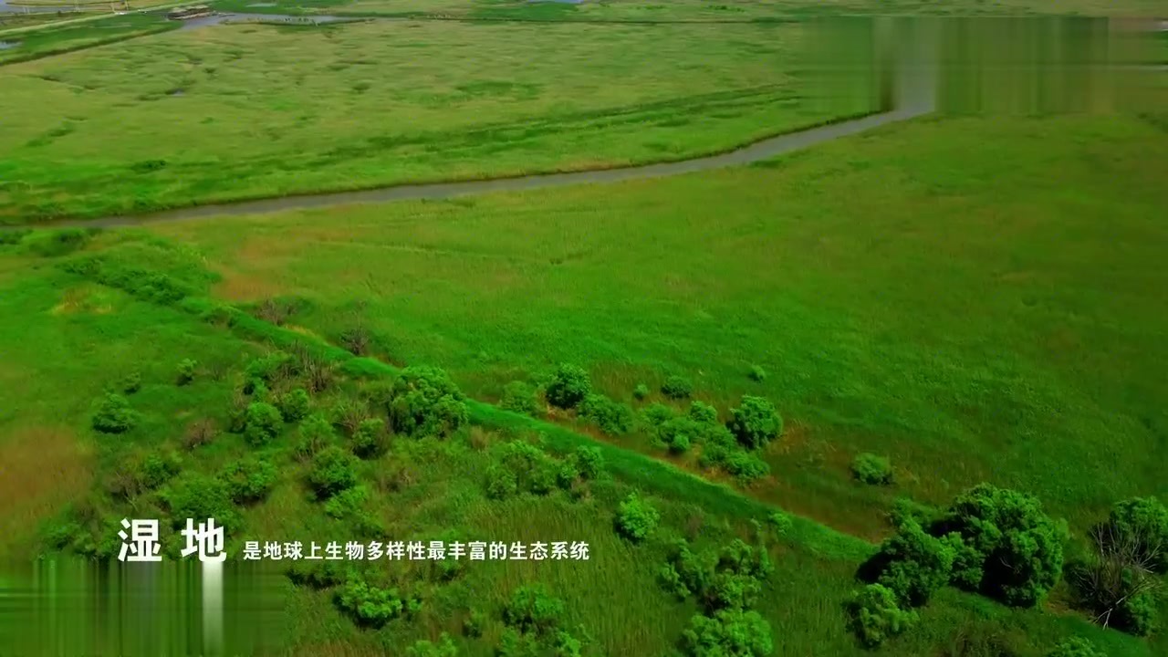 创建全国文明城市:保护生物多样性,共谋全球生态文明