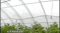 10-07-26 实用技术——《时代女性》 半地下式防风暖棚修建方法