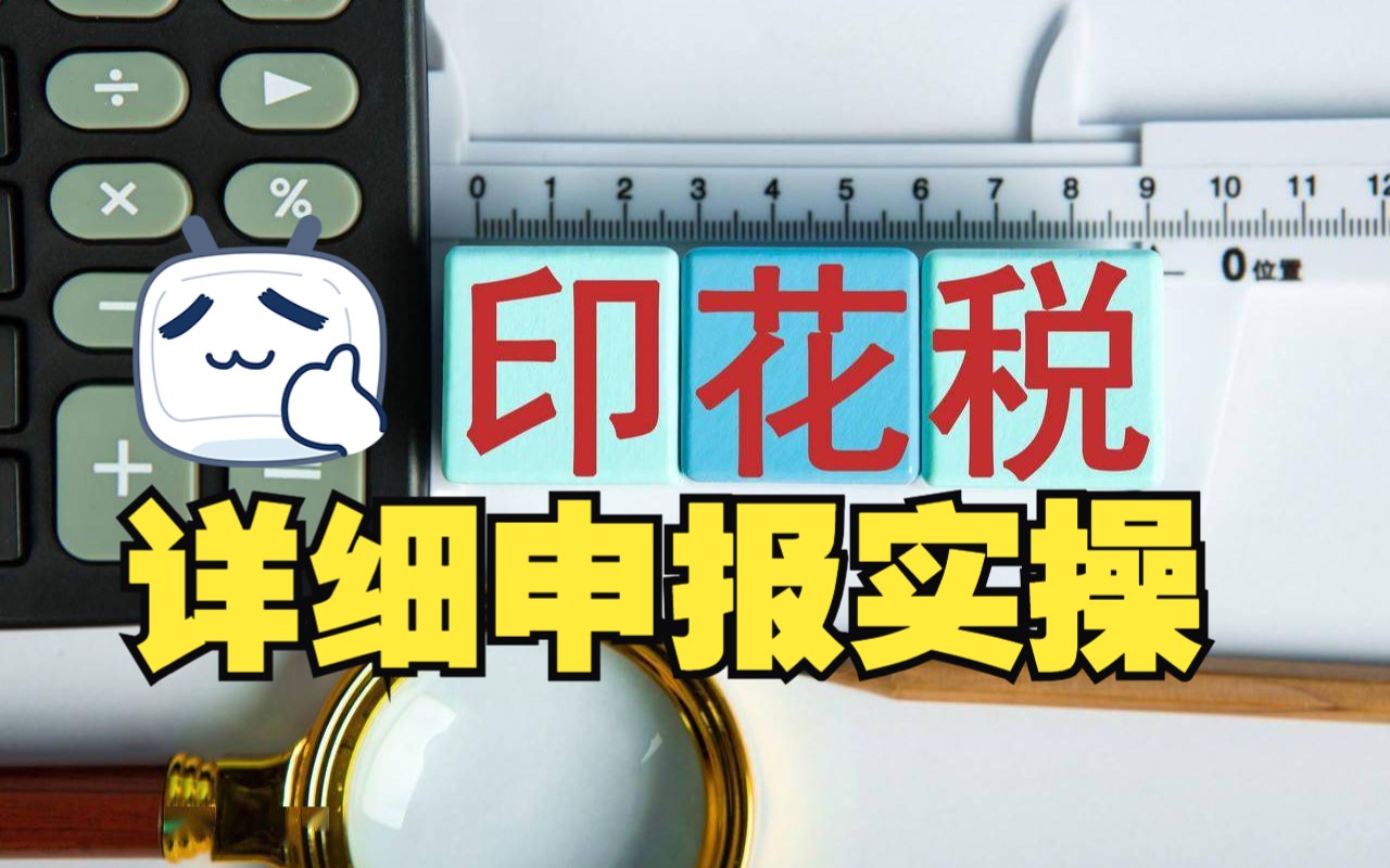 【已完结】财务小白必备的印花税实操05:申报演示