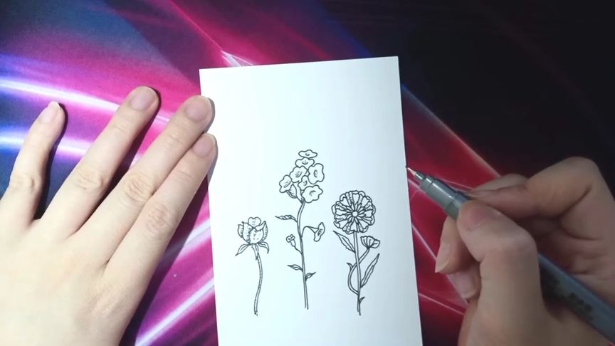 DIY明信片 教你画简笔画花卉教程步骤
