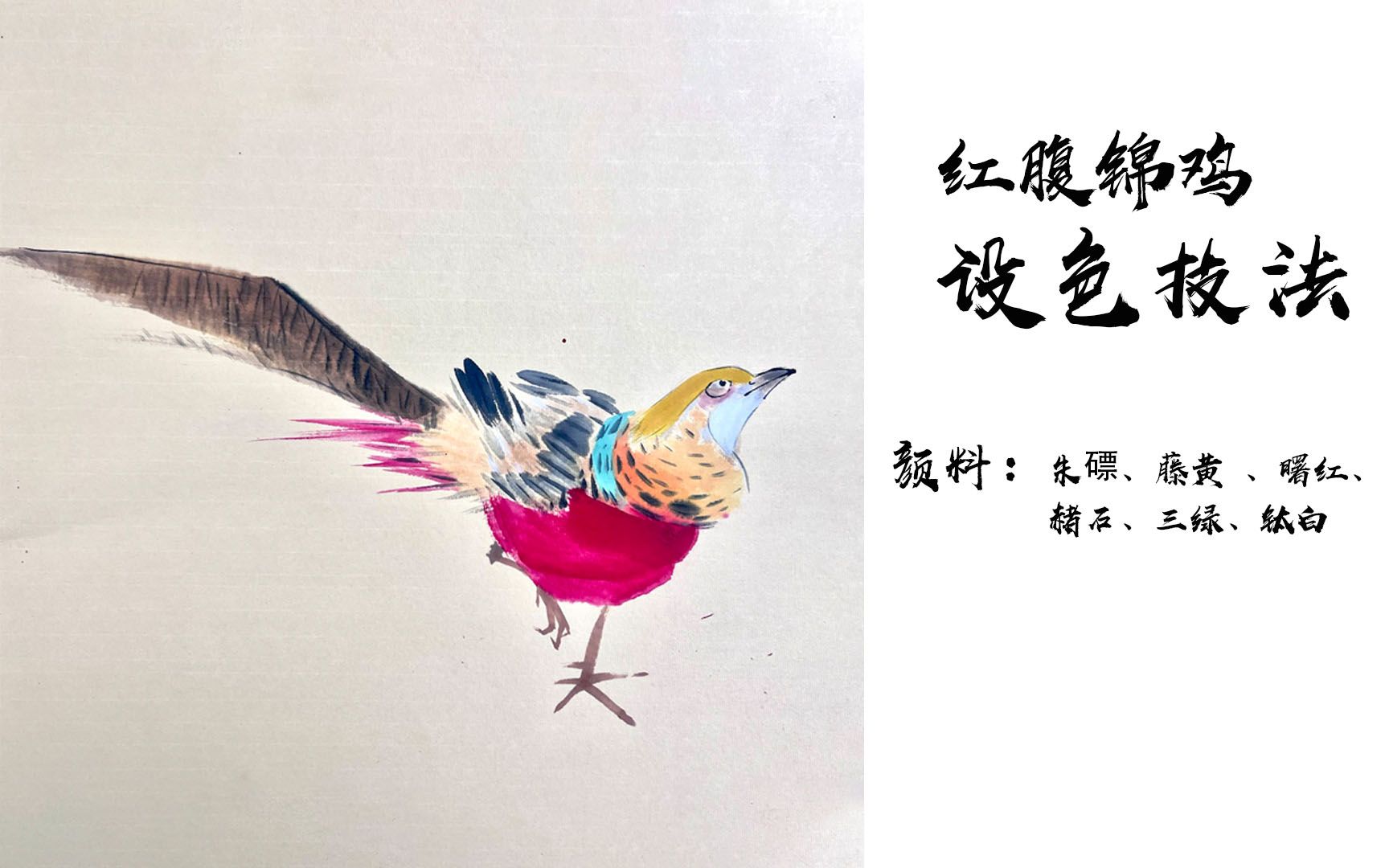 【国画】红腹锦鸡设色技法精讲,一定要学的国画基础知识