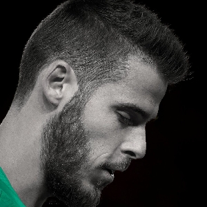 云挂西南四五峰 