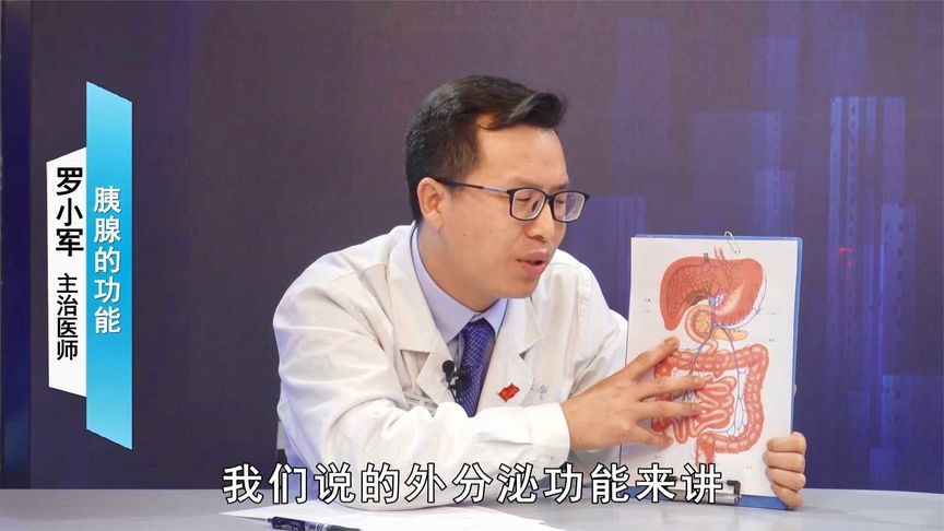 胰腺到底有哪些功能?专家给出答案,堪称最重要器官之一