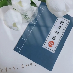 四川文集专升本 