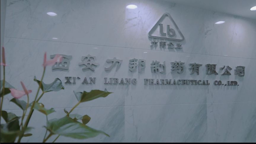 力邦医药联合用友u8银企联云构建实时的财务业务一体化管理平台
