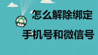 怎么解除绑定手机号和微信?