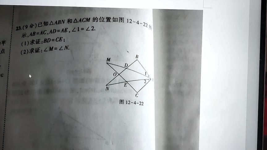 初二数学蝴蝶模型的几何证明题,你会了吗