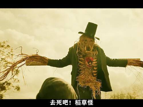 勤劳的稻草人却被主人直接封印