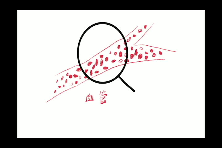 【中性粒细胞的发育过程】学了三年的医学生做的动画