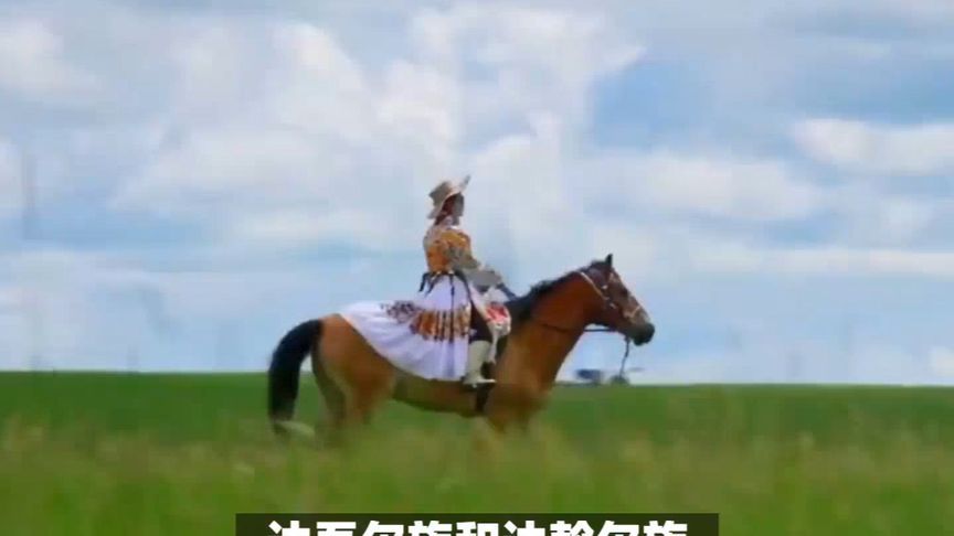 达吾尔族和达斡尔族,有什么区别? #传统文化 #知识 #老六师傅