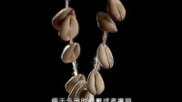 中国钱币史话1