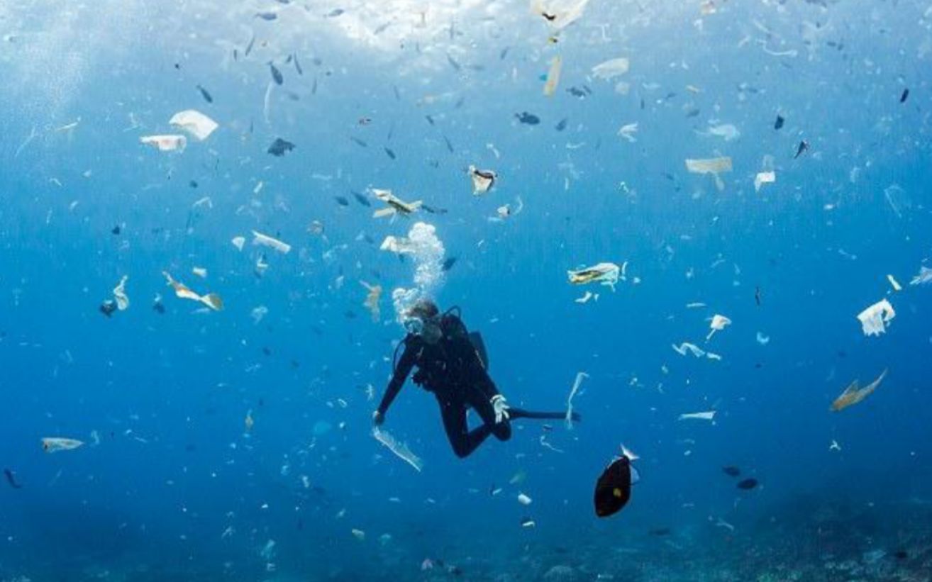 海洋污染远超预期!科学家:每吃一份生蚝会摄入0.7毫克塑料