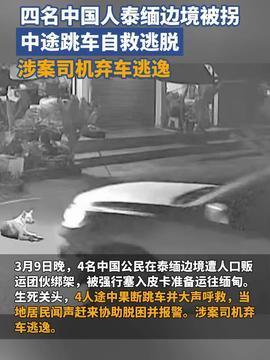 ...被强行塞入皮卡准备运往缅甸。生死关头,4人途中果断跳车并大声...