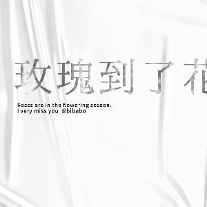 陌上人如玉君孑世无双 