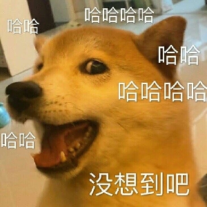 小猪掌心脆 