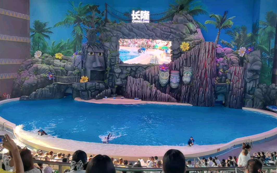 珠海长隆海洋王国《海豚表演》全程