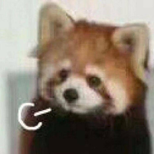 小鱼阁下在看Bilibili 