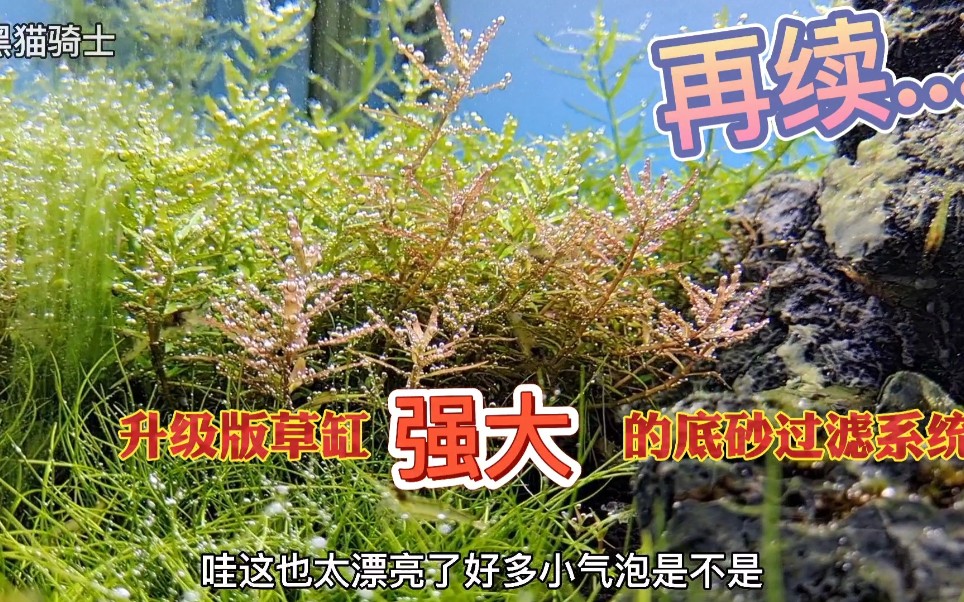 升级版草缸,强大的底砂过滤系统.再续. 今天讲关于底砂过滤的一些问题...