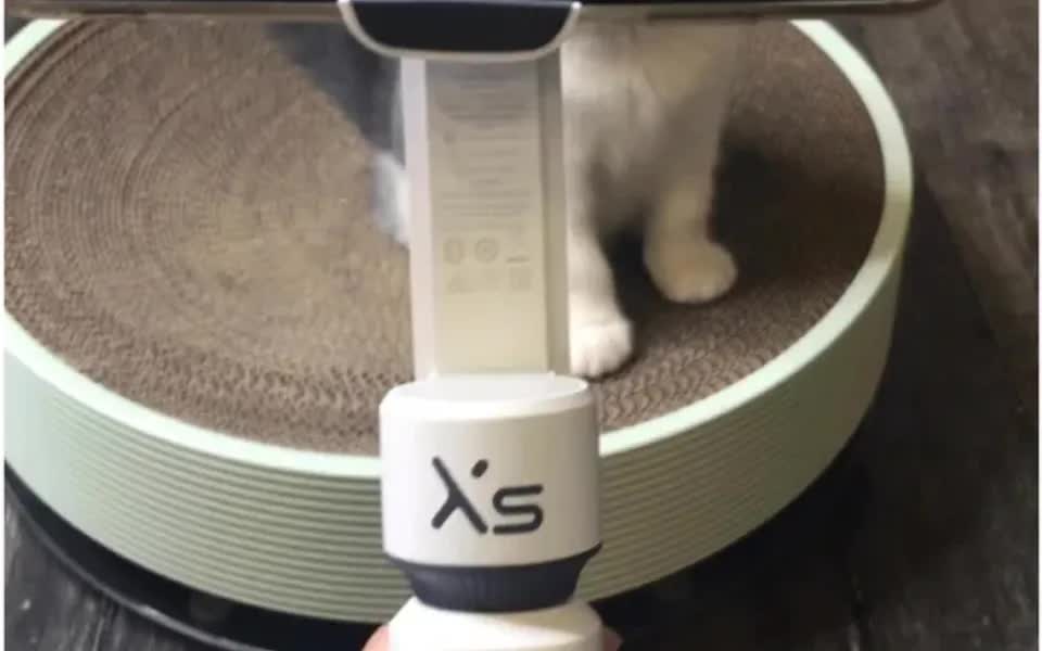 小奶酪的Vlog神器,智云SMOOTH XS 云台!