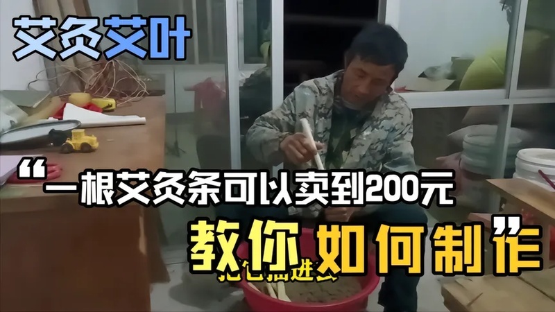 农村采摘的野生艾叶,一根艾灸条可以卖到200元不等