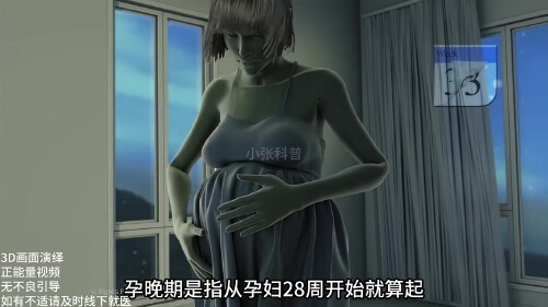 孕晚期到分娩的全过程孕晚期胎儿分娩