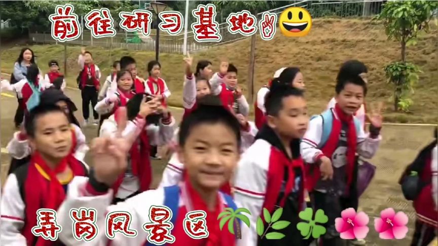 快乐童年,今天孩子们前往龙州“秘境弄岗”基地研学活动!