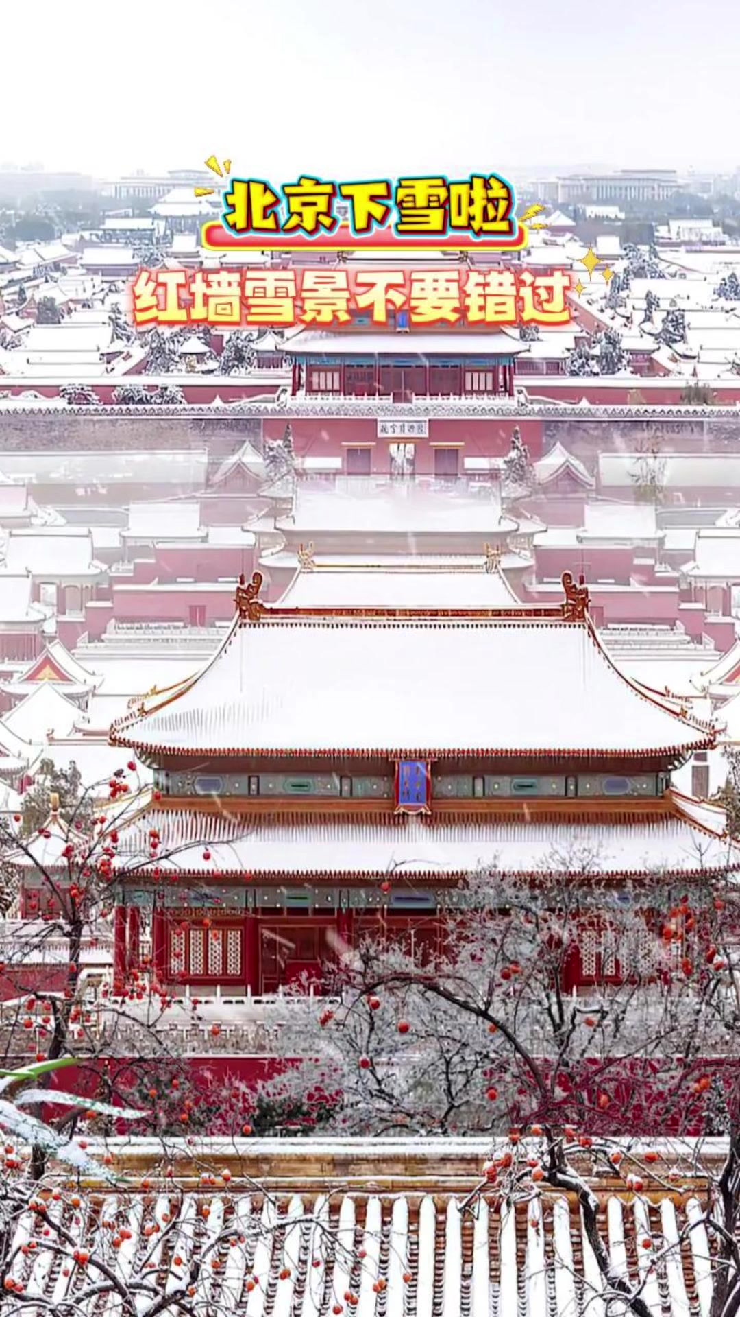 北京雪景怎么能错过呢!!!#北京私人定制旅游 #北京雪景 #北京旅游攻略