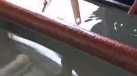 制作普通小木棒,都要这么麻烦,这一步是干什么的?