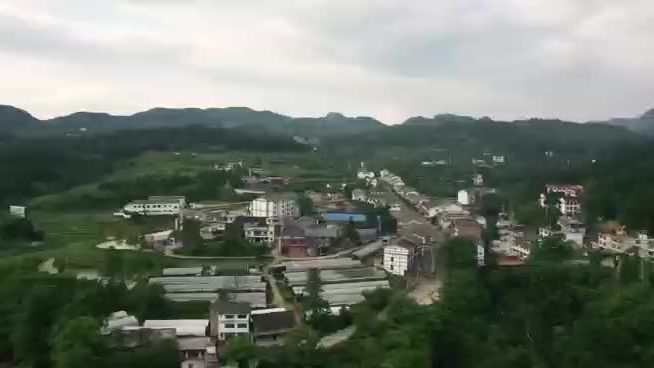 学习宣传贯彻党的十九届六中全会精神丨陇上村韦祥敏谈感受