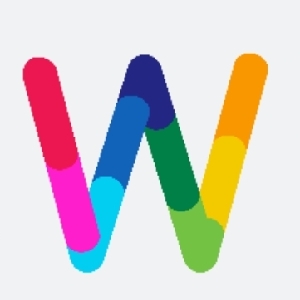 WYS团队光标君 