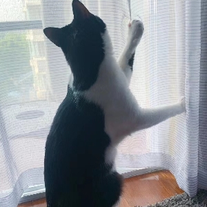 璞玉手账淡坑但失败版 