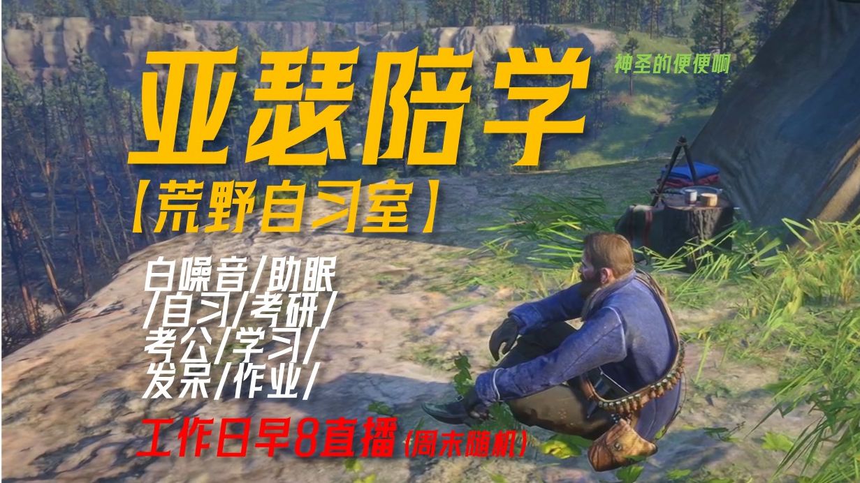 【亚瑟陪学】3小时|亚瑟摩根陪你一起在马掌望台上发呆(下雨)|白噪音/...