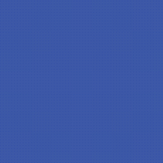 蒲四四 