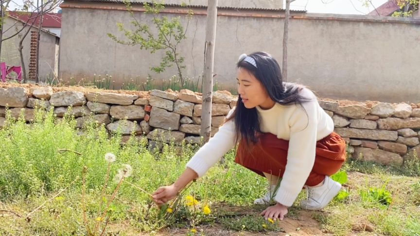 荠菜煮鸡蛋好处有哪些?三月,小慧给家人煮上一锅,营养又补钙