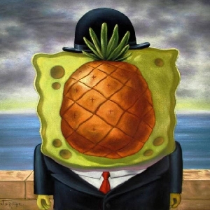大菠萝的凝视 