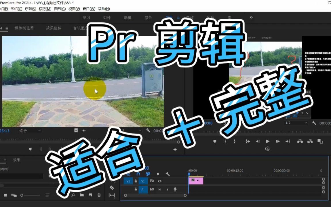 25-pr 选择缩放级别和选择回放分辨率
